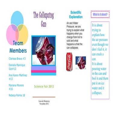 Science fair brochure | DOCX