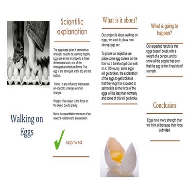 The surprising eggshell | ODP