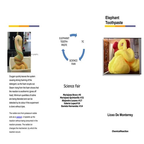 Sciencefair brochure | PPT