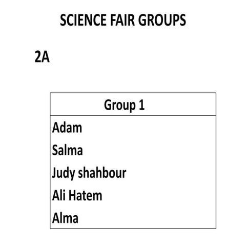 Science fair groups 2 | PPTX