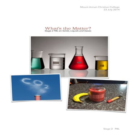 Science fair pbl | PDF