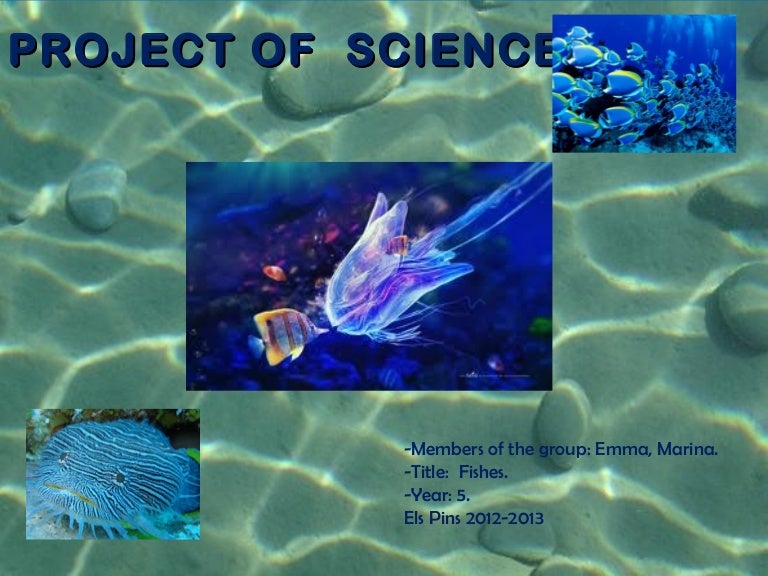 Science fishes