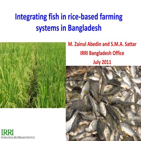 Science Forum Day 3 - Zainul Abedin - Integrating fish in rice-based ...