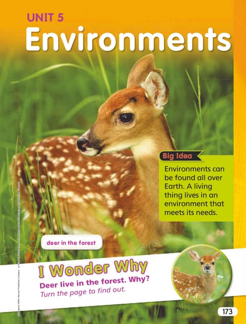 Lesson 3.3 How do plants and animals need each other? | PPT | Gardening ...