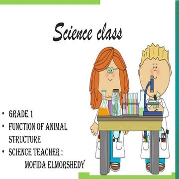Science Gr1 Animal parts and function.pptx