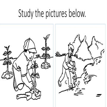 special science class grade 1 week 2.pptx