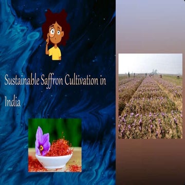 Science inter disciplinary ppt final presentation | PPT