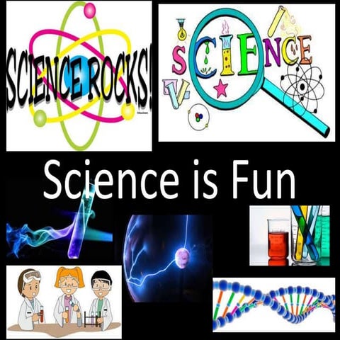 Science is Fun - an Introduction to Science | PPT
