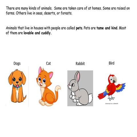 Science K2 Animals.pptxScience K2 Animals.pptx