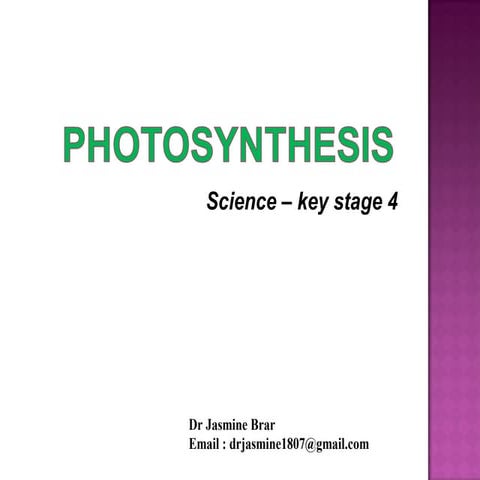 Photosynthesis | PPT