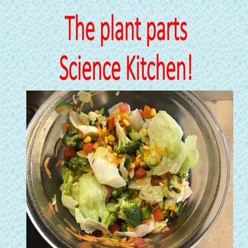 Science kitchen | PPT