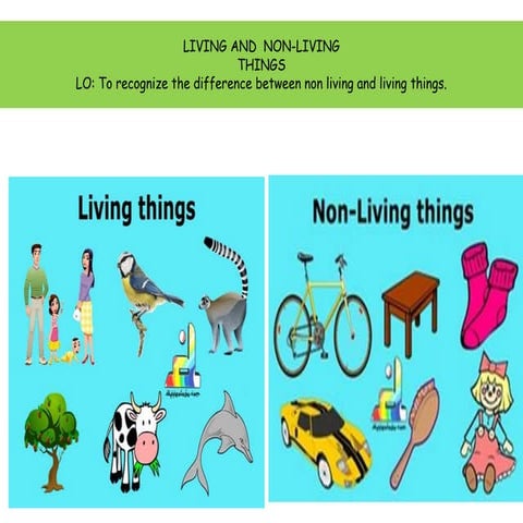 Science L2 Living and Non living Things.ppt