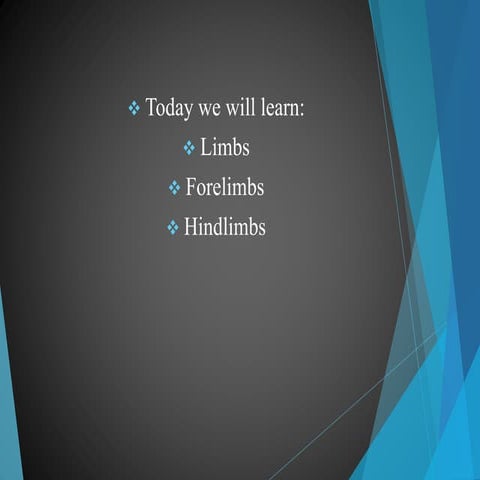 Science Limbs- School Presentation.pptx. | PPT