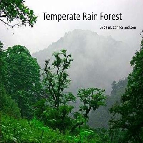 Science temperate rainforest | PPTX