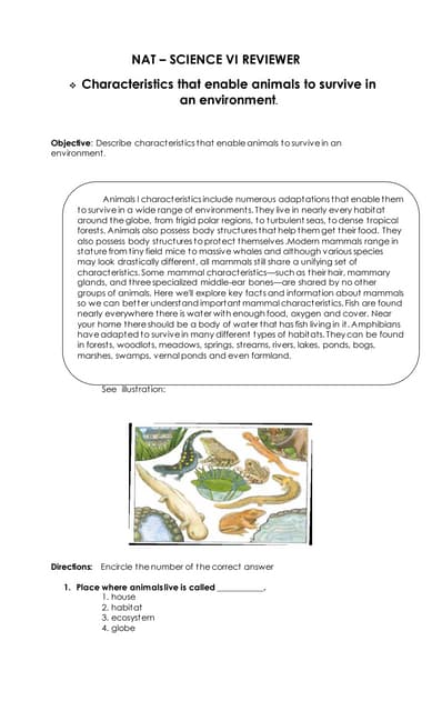 Curriculum Fest- Science Quiz Bee- Guidelines and Mechanics.pdf