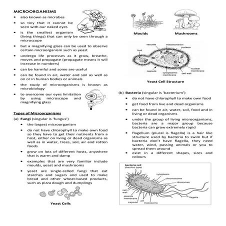 Science notes year 5 chap 1(a) microorganisms | PDF