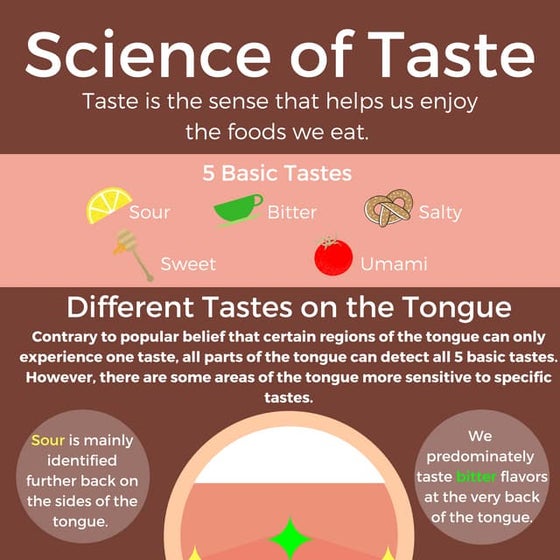 1st Grade - the sense of taste | PPT