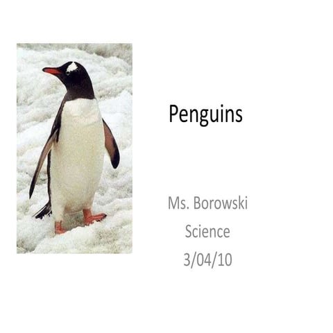 Penguin Research | PPT