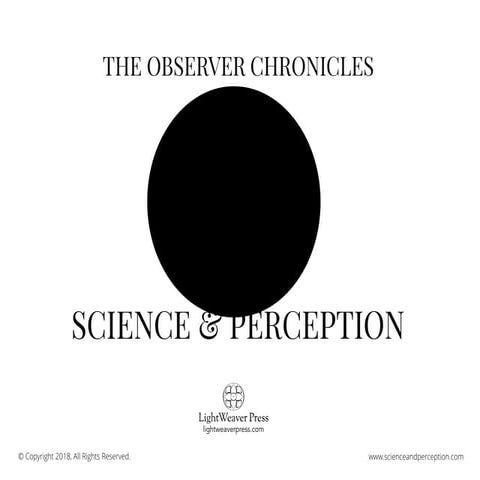 Observations & Inferences | PPTX