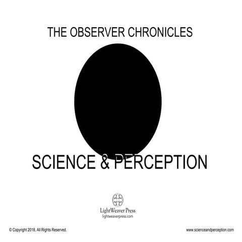 Observations & Inferences | PPTX