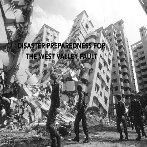 Disaster Preparedness for calamity disasters | PDF
