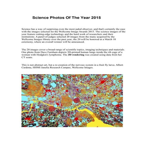 Science Photos Of The Year 2015 | PDF