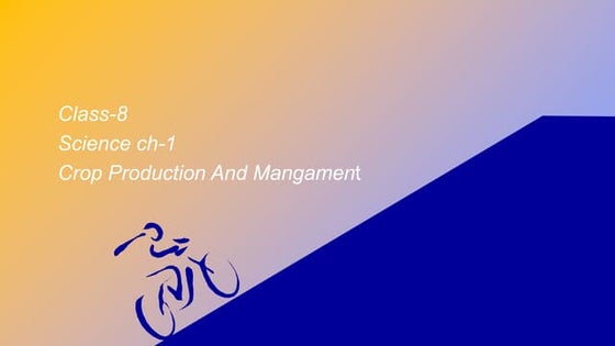 P1 nursery raising in vegetables | PDF