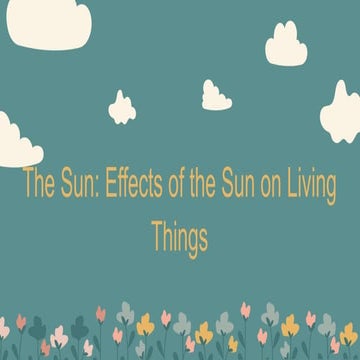 effect-of-the-sun.pptx.................... | PPTX