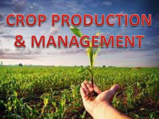 Chapter - 1, Crop Production and Management, Science, Class 8 | PPT