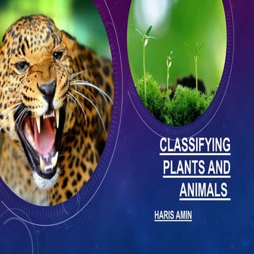 Classifying plants and animals | PPTX
