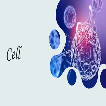 The Cell Presentation for Grade 7 | PPTX