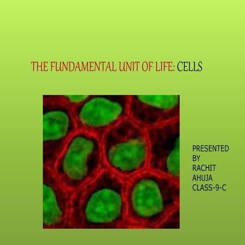 fundamental unit of life :cell | PPT | Biological Sciences | Science