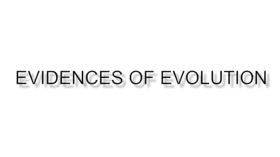 Evidence of evolution | PPTX | Geology | Science