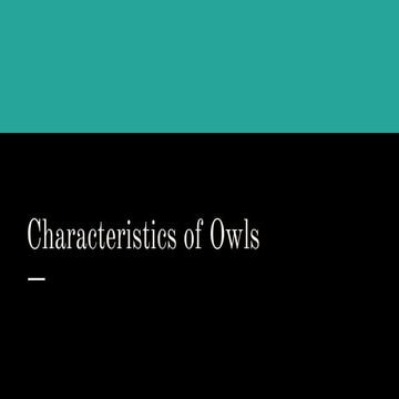 Owls | PPT