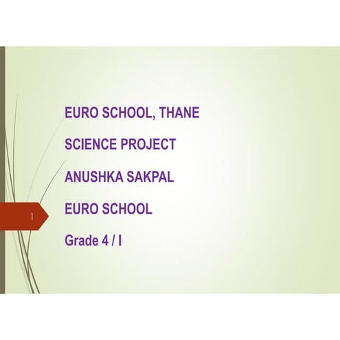 EVAPORATION AND SEDIMENTATION Science Project.pdf