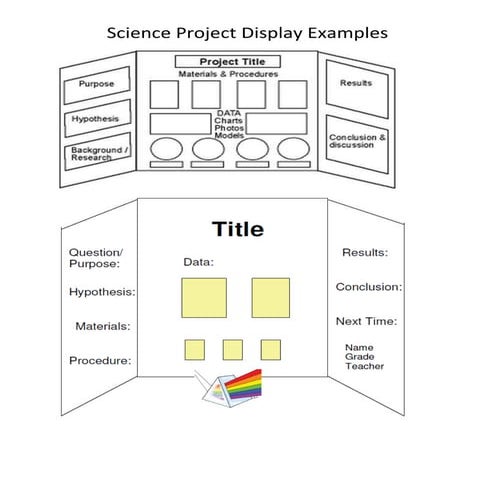 Science project display examples | DOCX