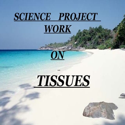 TISSUES Class - 9th | PPTX