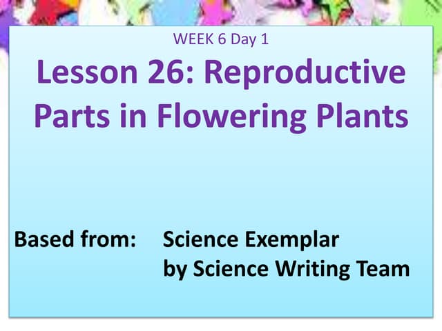 Science 3 parts and function of the plants | DOCX