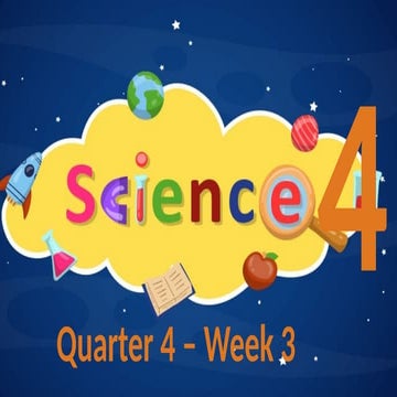 Social sciences lesson plan term 4 geograpghy | DOCX