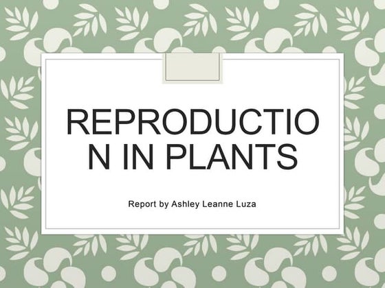 Cbse grade 7 chapter 11 reproduction in plants | PPT | Reproductive ...