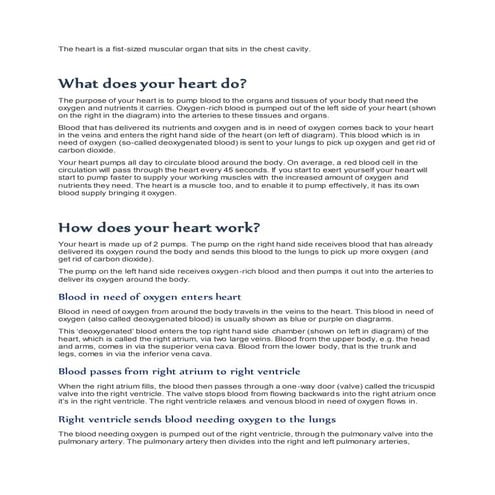 heart of a human | DOCX | Heart and Cardiovascular Diseases | Diseases ...