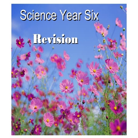 Science revision | PPT