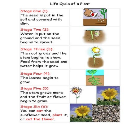 ScienceShare.co.uk Shared Resource | DOC