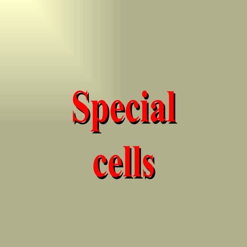 Specialized Cells, Biology | PPTX