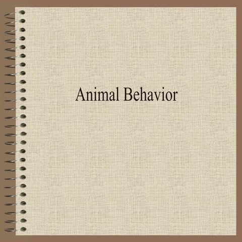 Ecology and animal behavior | PPTX