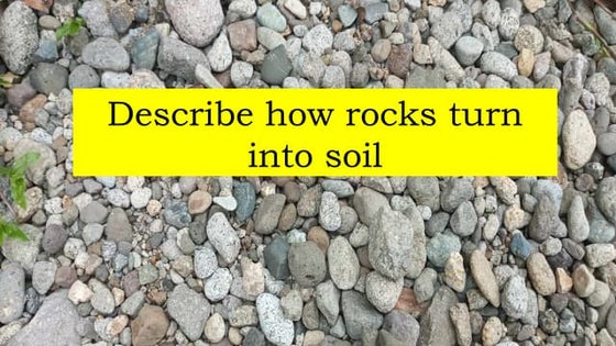 Earth and Life Science_Q1_Module 5_Exogenic Processes.pdf