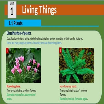SCIENCE TECHNOLOGY 1- Living Things.pptx