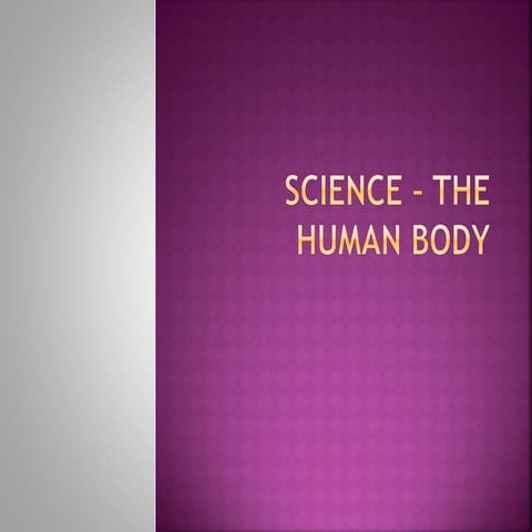 Science – the human body | PPT