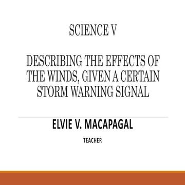 Public Storm Warning Signals | PPTX