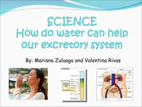 Excretory System | PPT